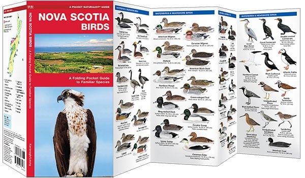 Nova Scotia Birds (Pocket Naturalist® Guide)
