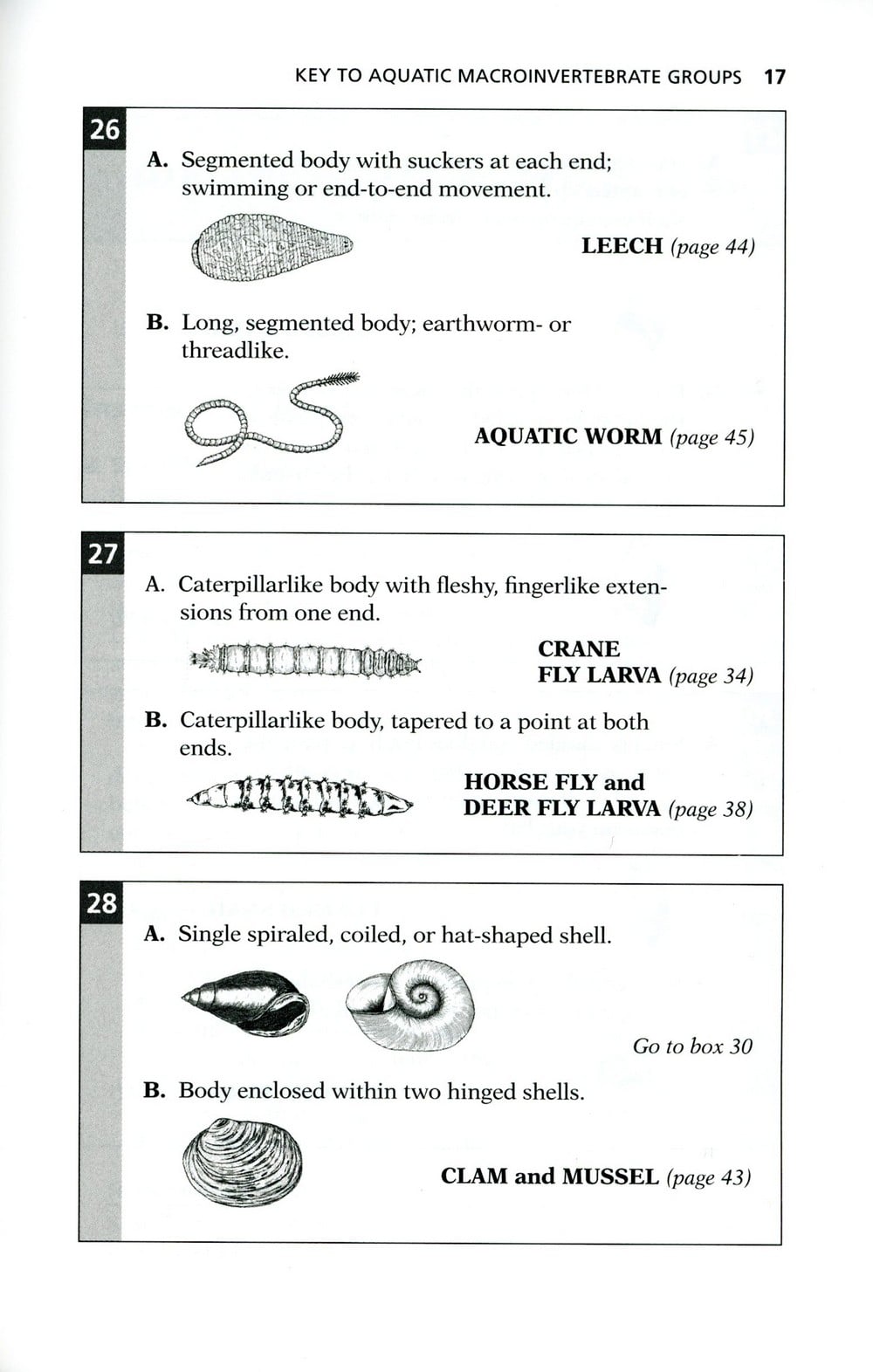 Guide to Aquatic Insects and Crustaceans