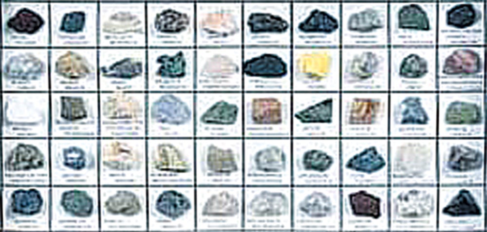 Rocks and Minerals of the Western United States (Specimen Collection)