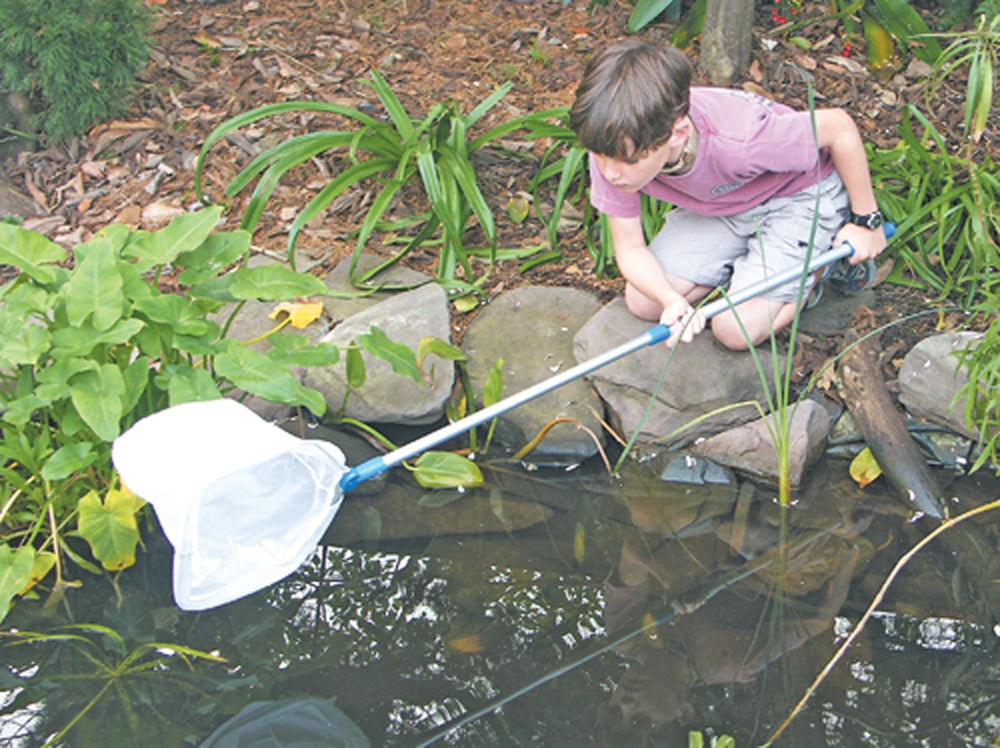 Invertebrate (Fine Mesh) Extendable Aquatic Net