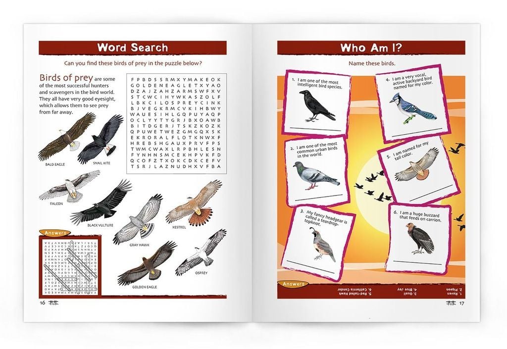 Birds Nature Activity Book, 3rd Edition