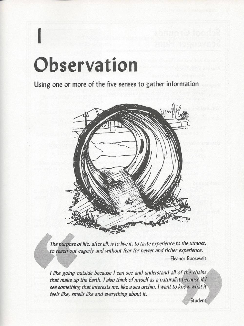 naturalist intelligence