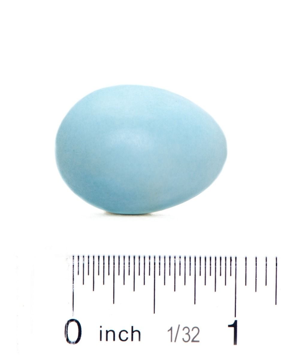 Robin Egg Blue