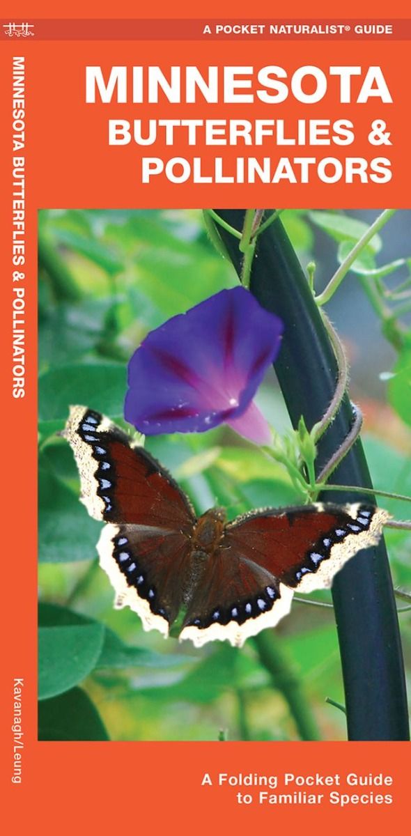 Minnesota Butterflies & Pollinators (Pocket Naturalist® Guide)