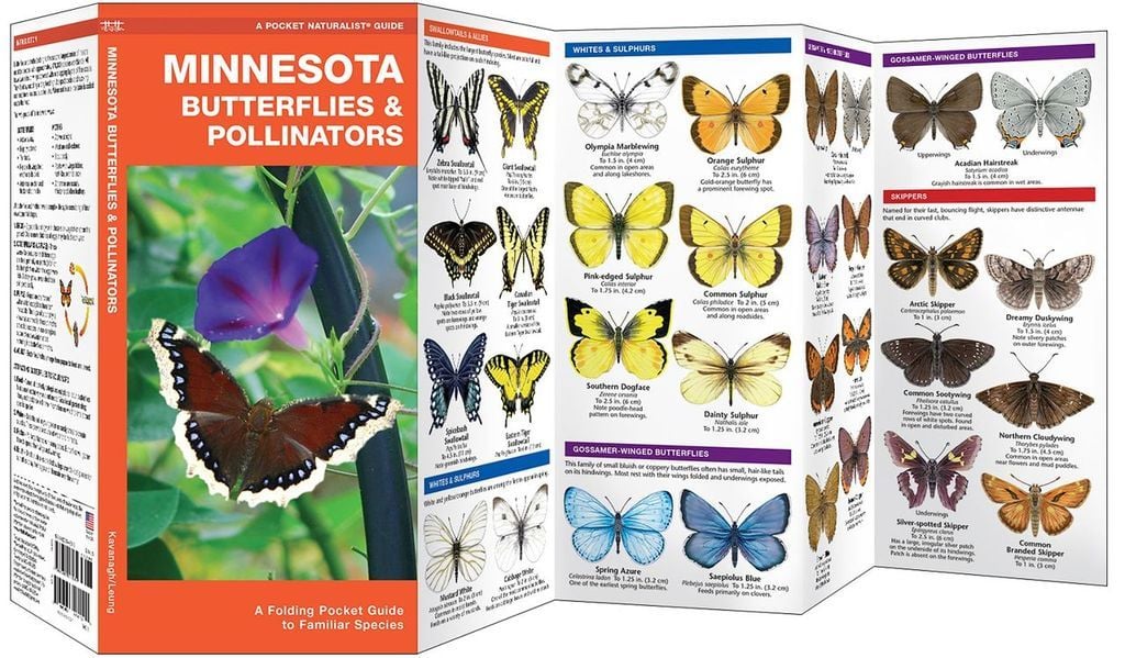 Minnesota Butterflies & Pollinators (Pocket Naturalist® Guide)