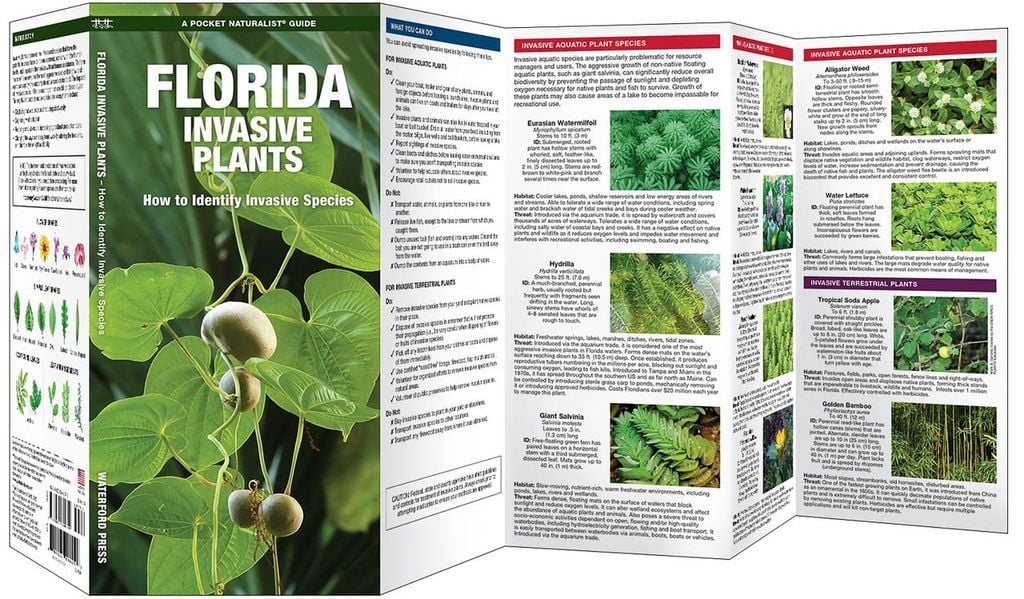 Florida Invasive Plants (Pocket Naturalist® Guide)