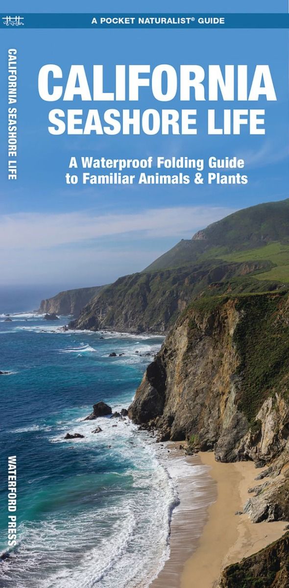 California Seashore Life, 2nd Edition (Pocket Naturalist® Guide)