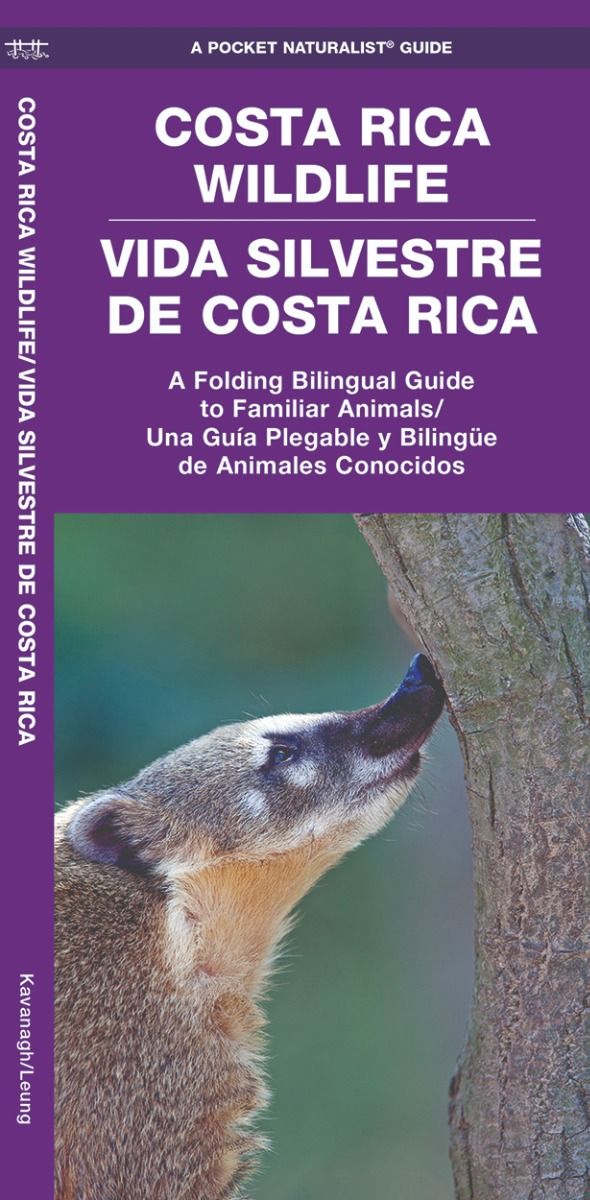 Costa Rica Wildlife / Vida Silvestre de Costa Rica (Pocket Naturalist ...