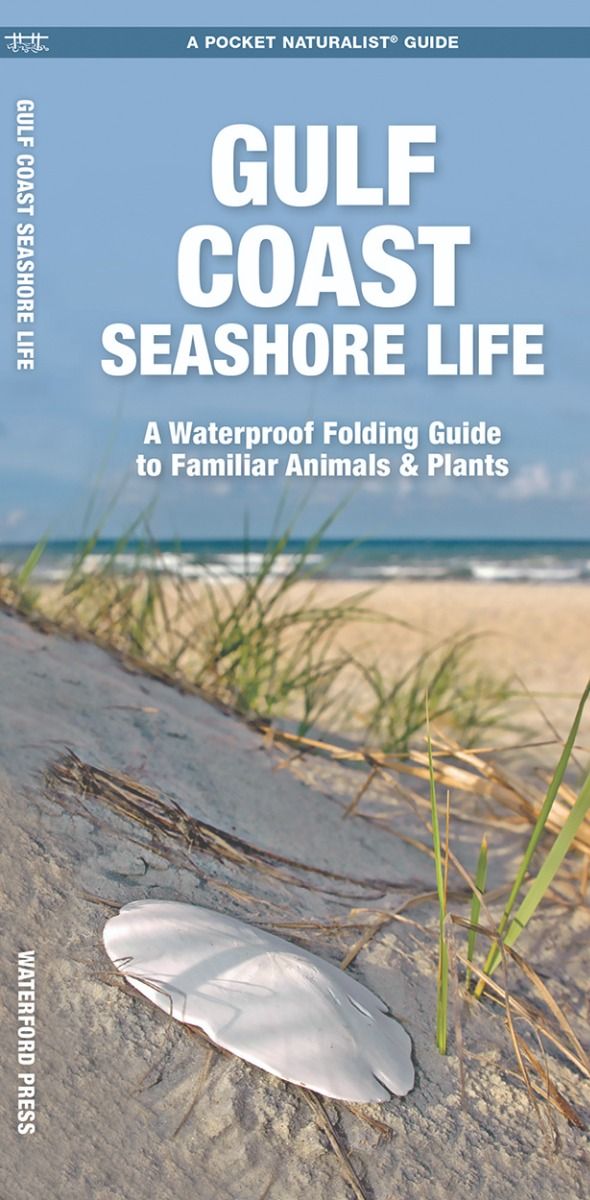 Gulf Coast Seashore Life, 2nd Edition (Pocket Naturalist® Guide)