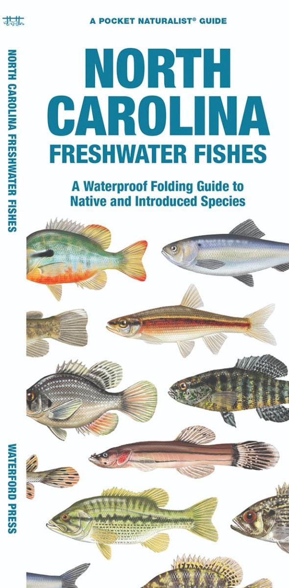 North Carolina Freshwater Fishes (Pocket Naturalist® Guide)
