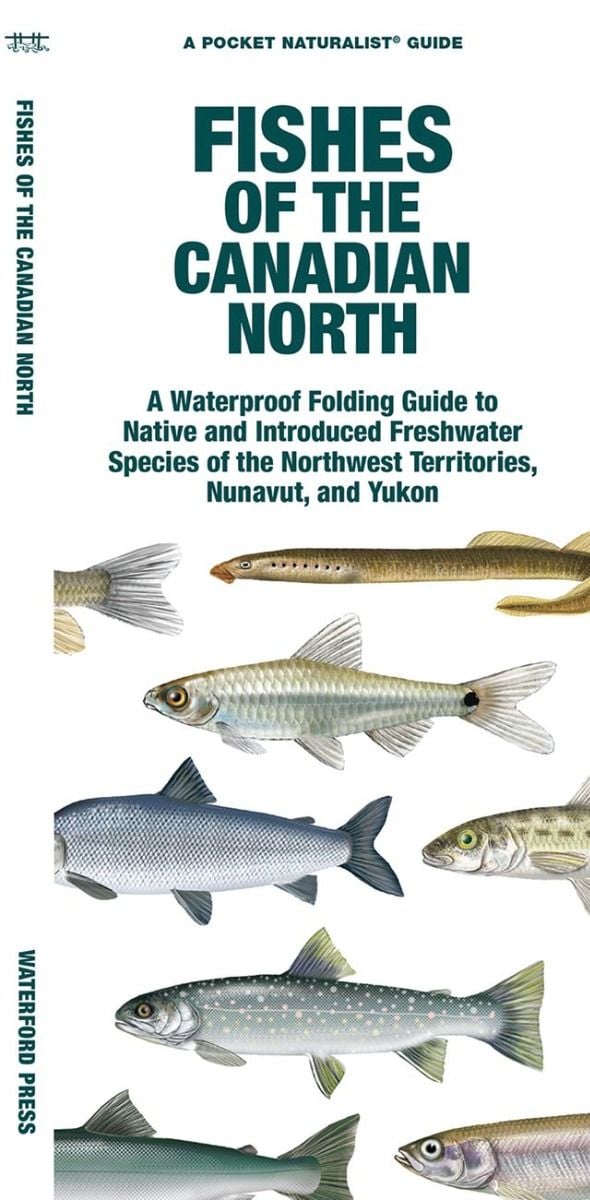 Fishes of the Canadian North (Pocket Naturalist® Guide)