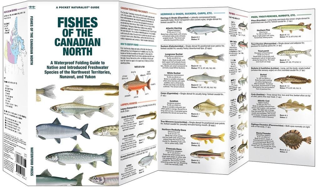 Fishes of the Canadian North (Pocket Naturalist® Guide)