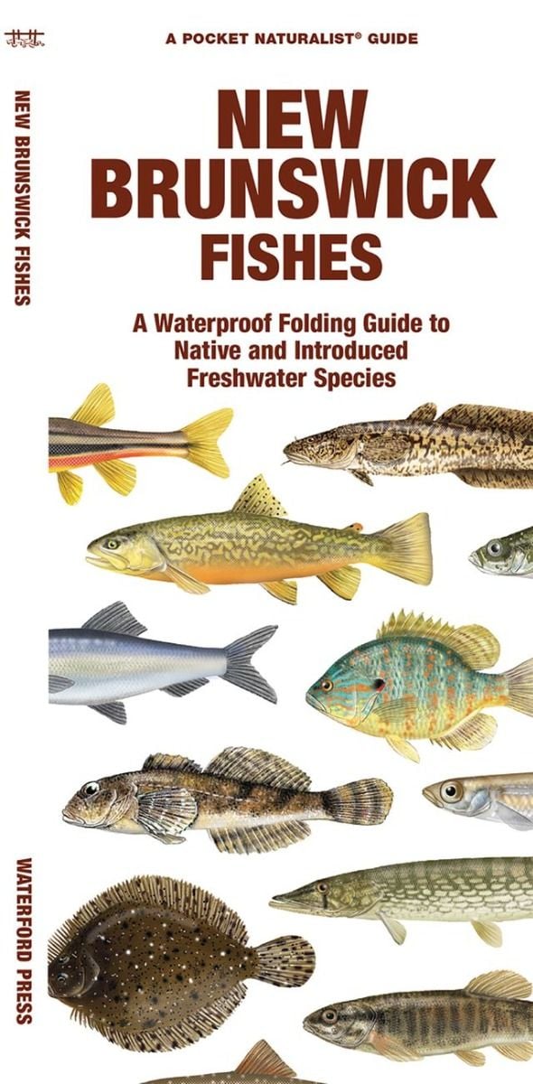 New Brunswick Fishes (Pocket Naturalist® Guide)