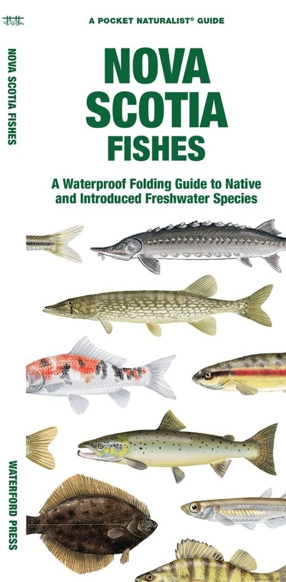 Nova Scotia Fishes (Pocket Naturalist® Guide)