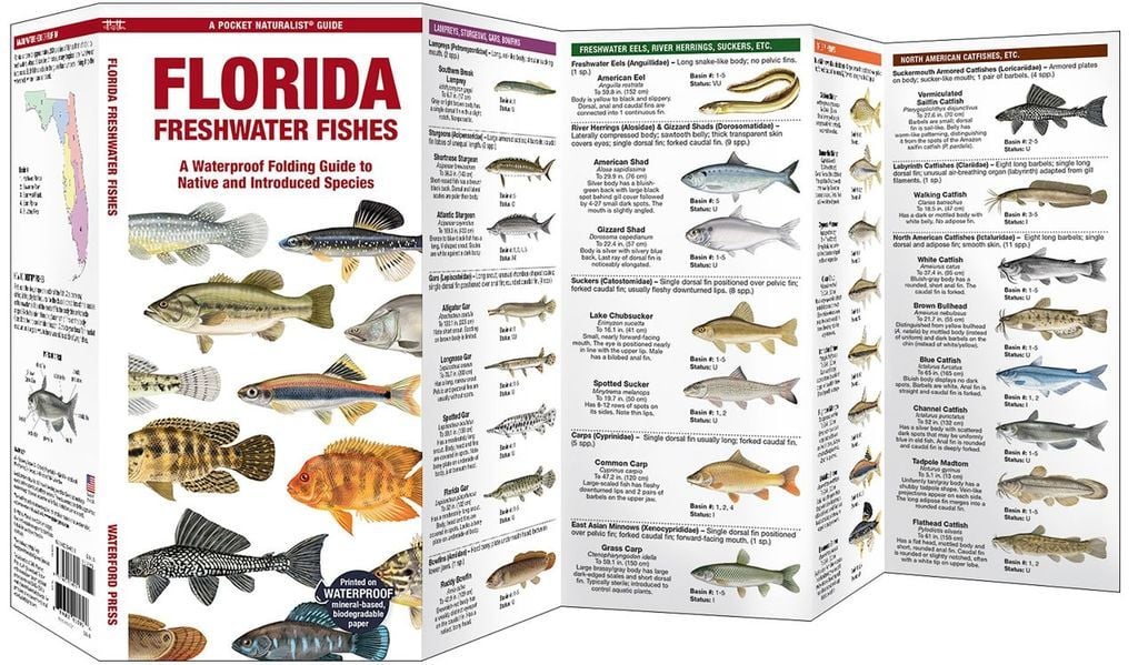 Florida Freshwater Fishes (Pocket Naturalist® Guide)