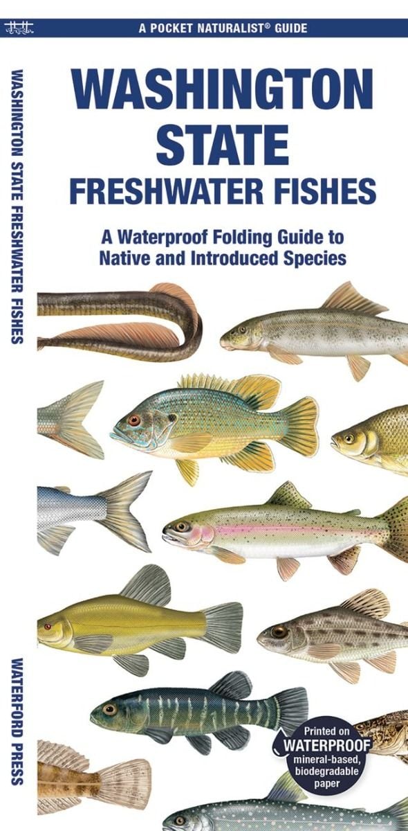 Washington State Freshwater Fishes (Pocket Naturalist® Guide)