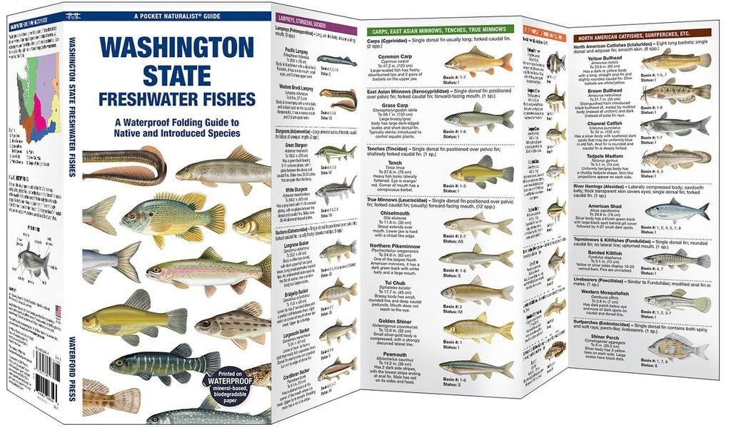 Washington State Freshwater Fishes (Pocket Naturalist® Guide)