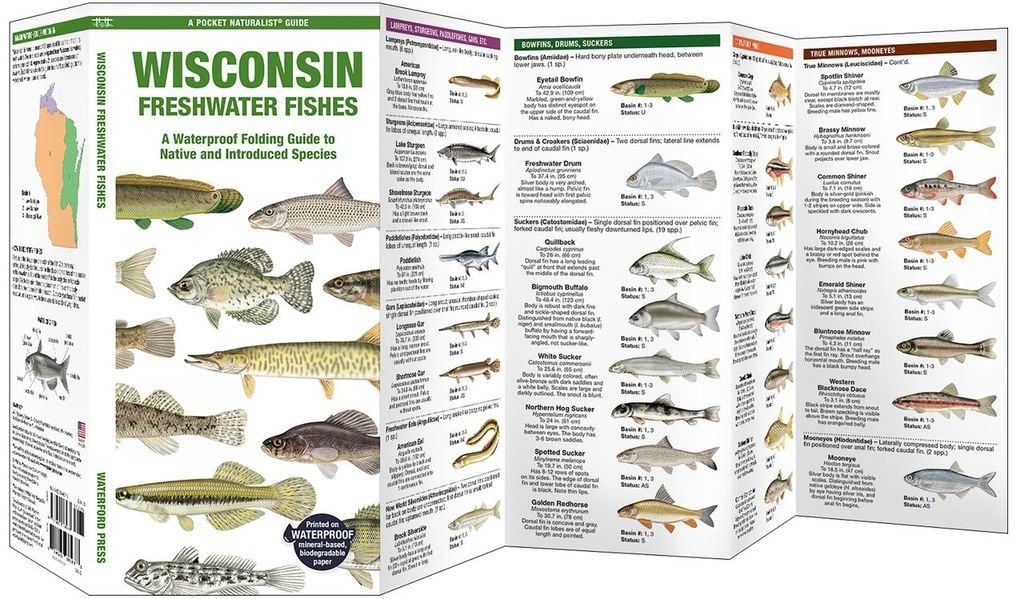 Wisconsin Freshwater Fishes (Pocket Naturalist® Guide)