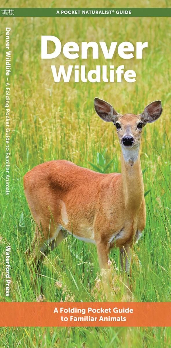 Denver Wildlife (Pocket Naturalist® Guide)