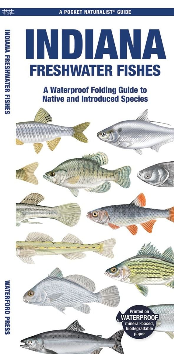 Indiana Freshwater Fishes (Pocket Naturalist® Guide)