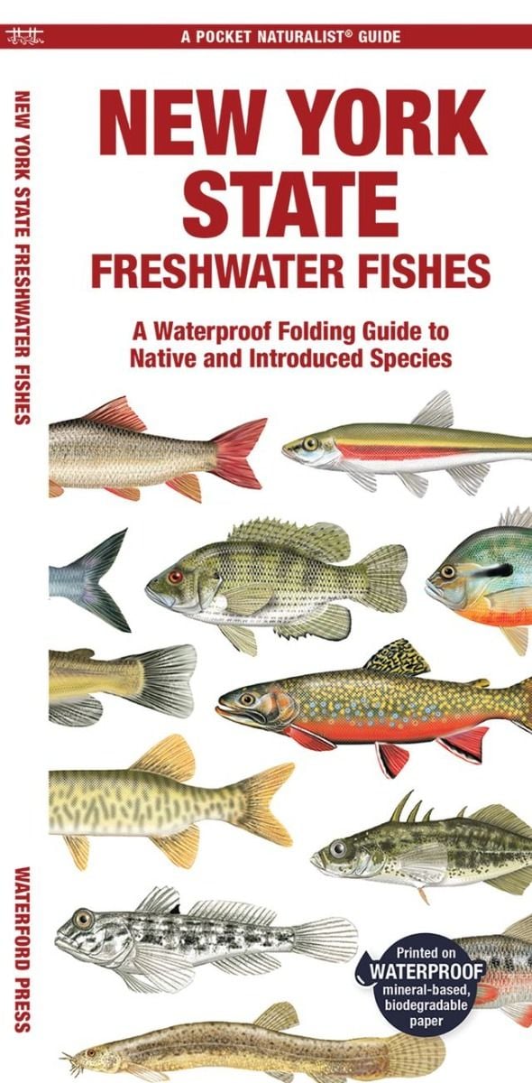 New York State Freshwater Fishes (Pocket Naturalist® Guide)