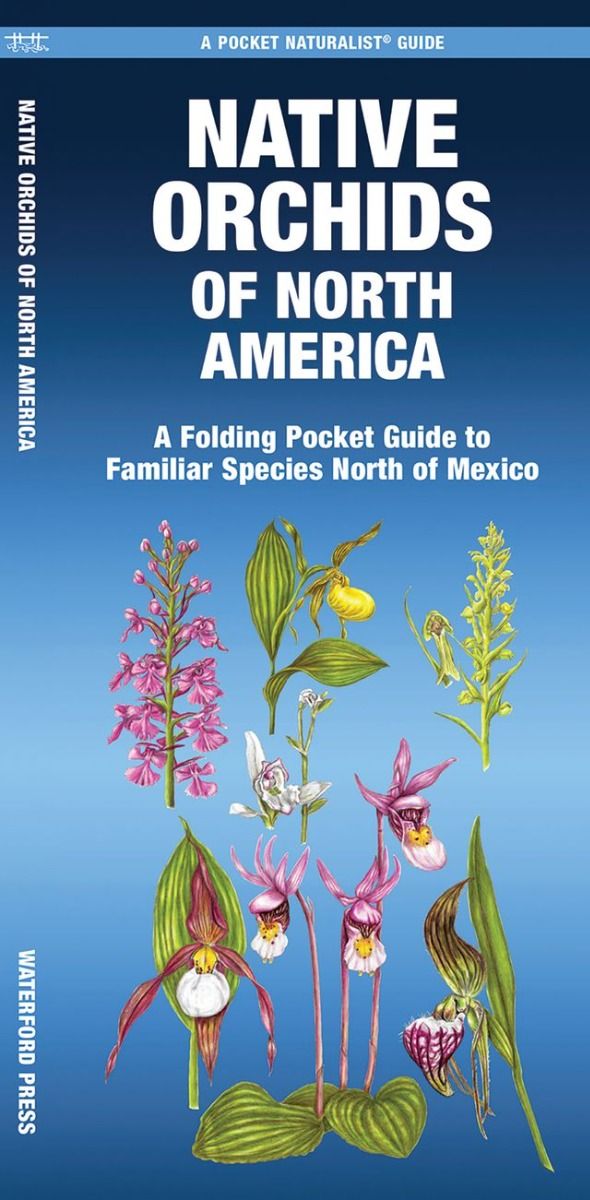 Native Orchids of North America (Pocket Naturalist® Guide)