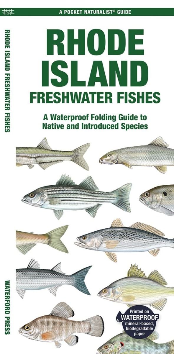 Rhode Island Freshwater Fishes (Pocket Naturalist® Guide)