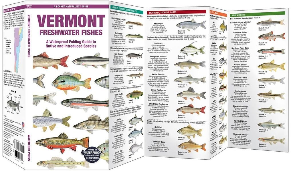 Vermont Freshwater Fishes (Pocket Naturalist® Guide)
