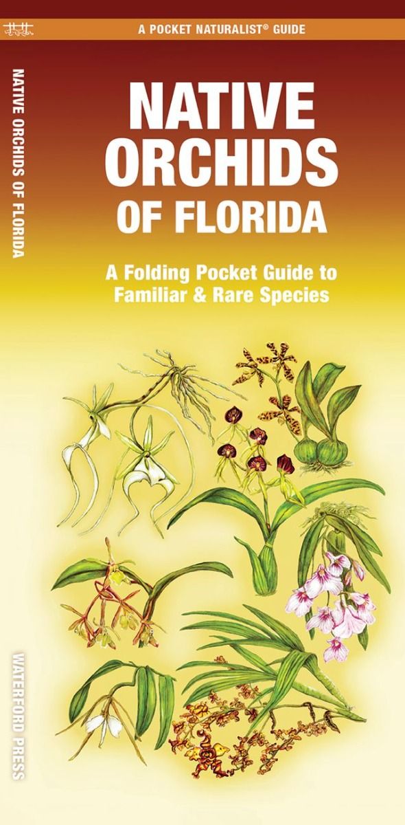Native Orchids of Florida (Pocket Naturalist® Guide)