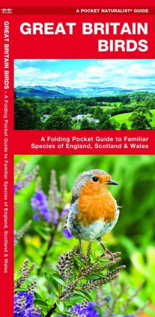 British Birds Identification Poster RSPB Birds Of The British Isles: