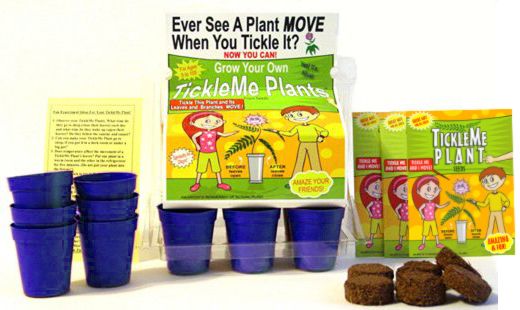 Tickle Me Plant® Greenhouse Garden Kit