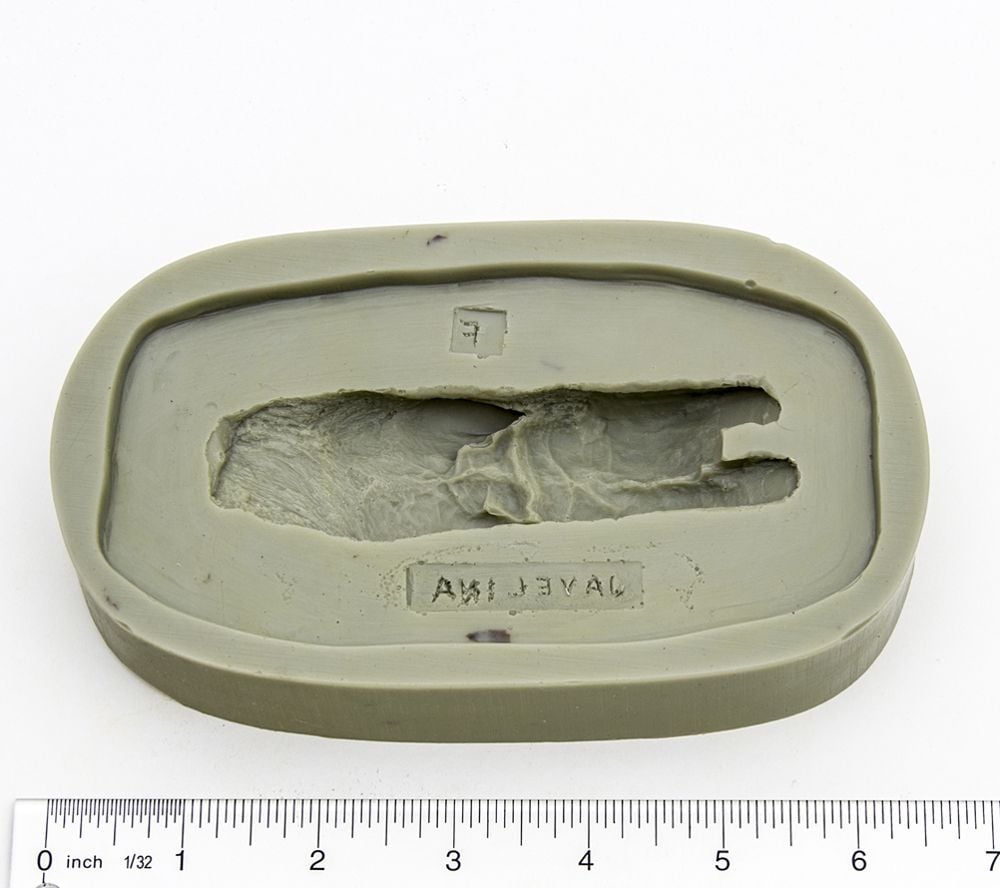 Javelina Track Mold
