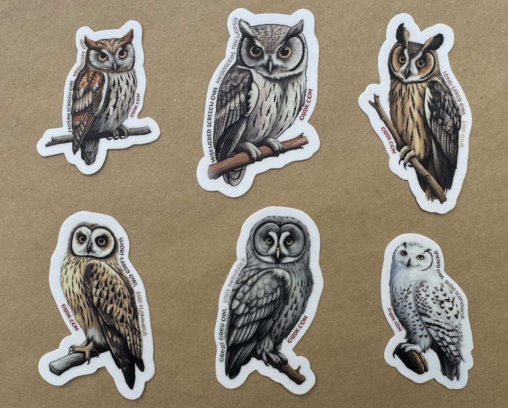 Owl Stickers Set #1 (6 Species)
