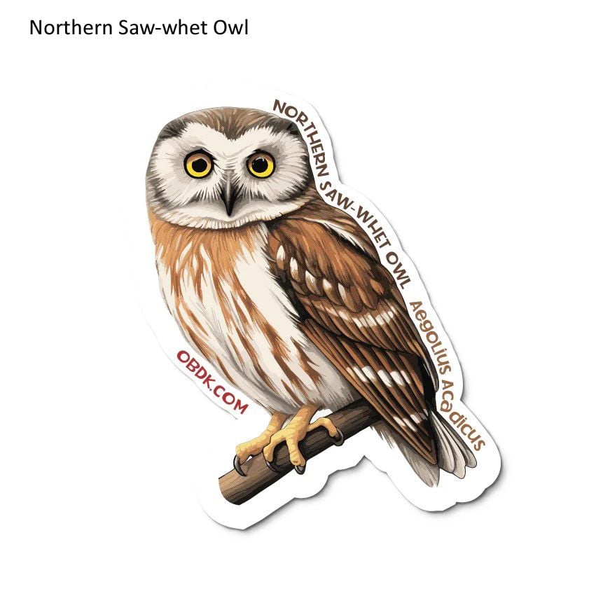 Saw-Whet Owl Sticker Pack (10 Saw-Whet Owl Stickers)
