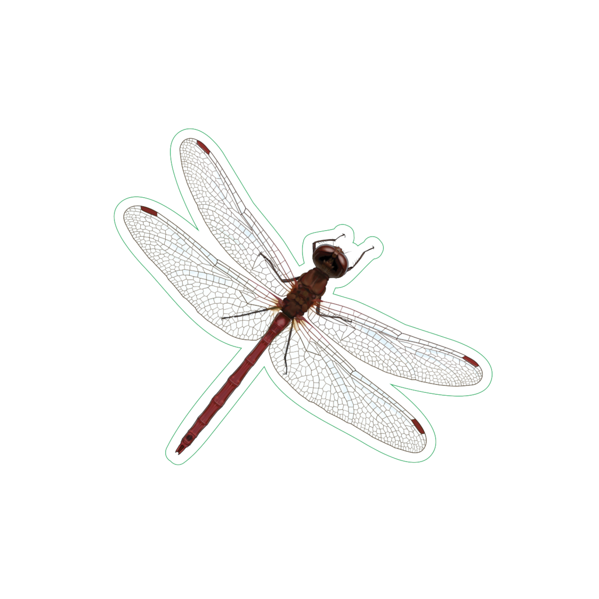 Dragonfly Sticker Pack (10 Stickers)