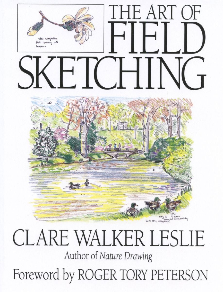 The Art of Field Sketching